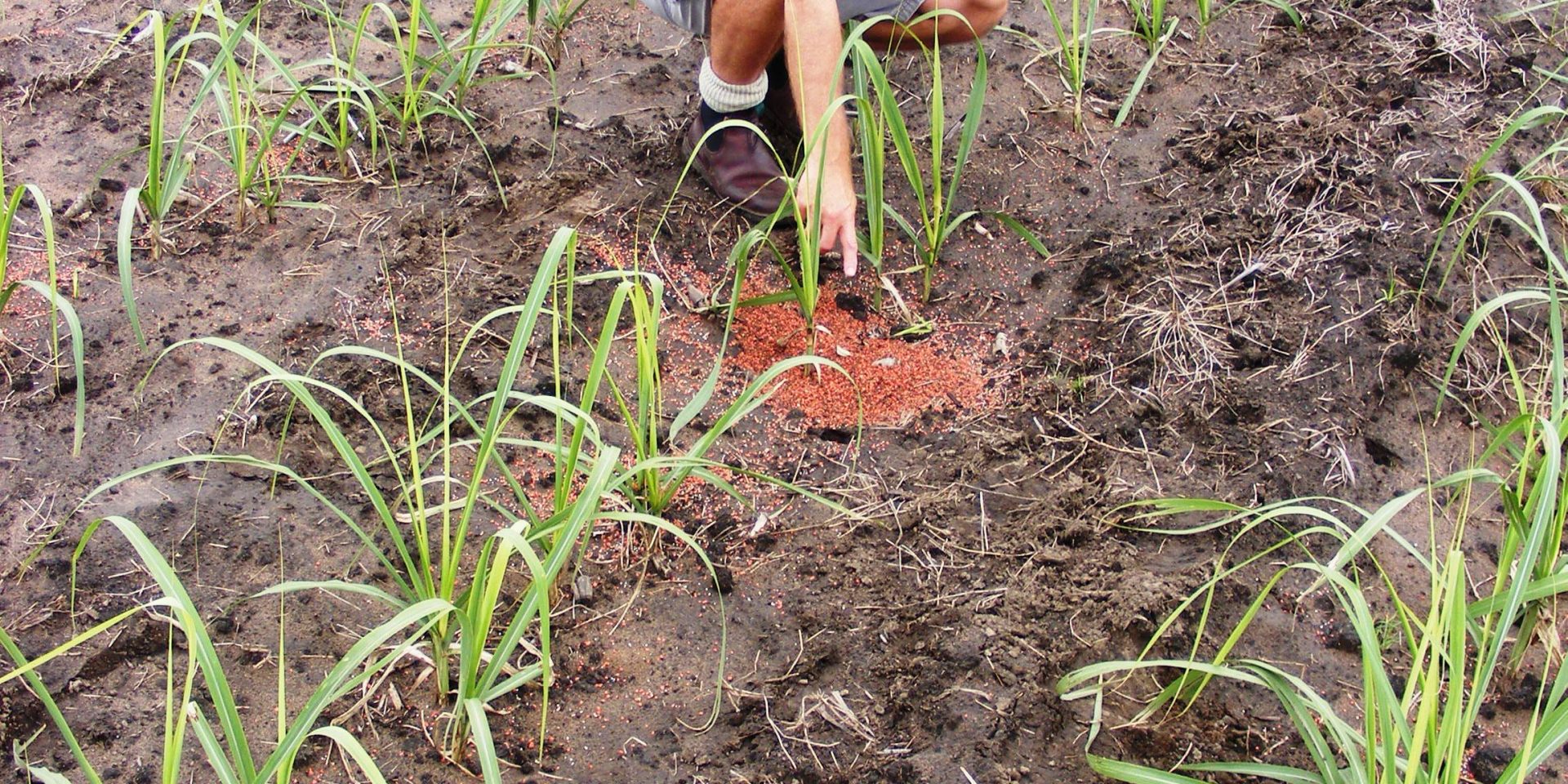 The key to yield optimization – Soil Health & Plant Nutrition Services